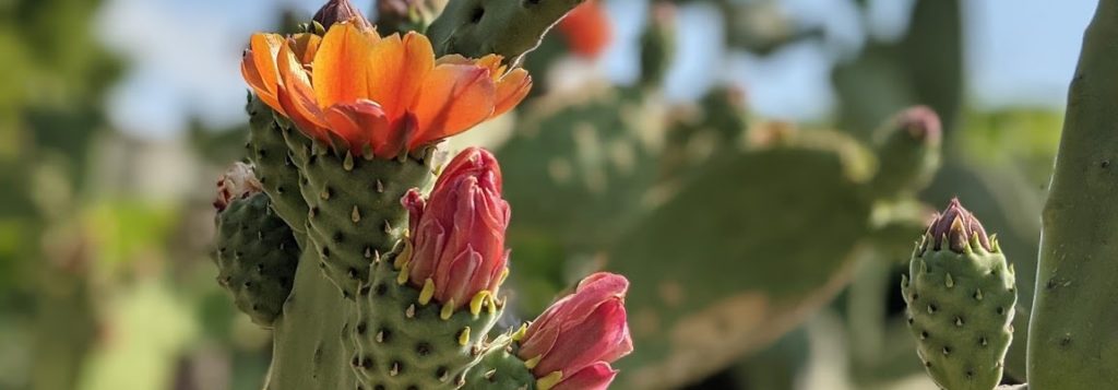 About Me & Contact | molif | en